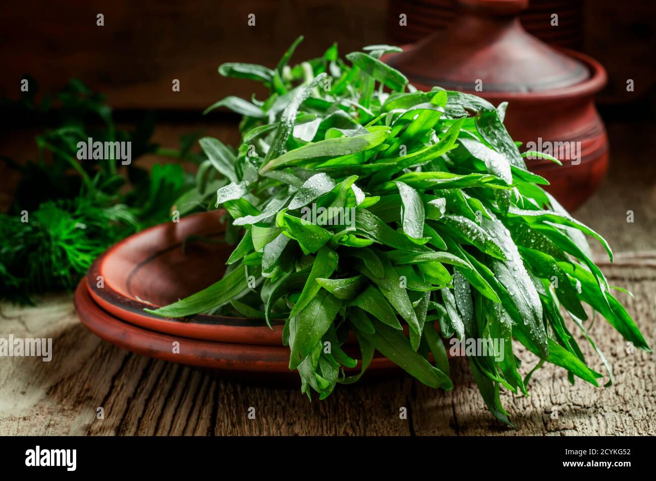Fresh green tarragon in a beam in an earthenware pot on the old wooden ...