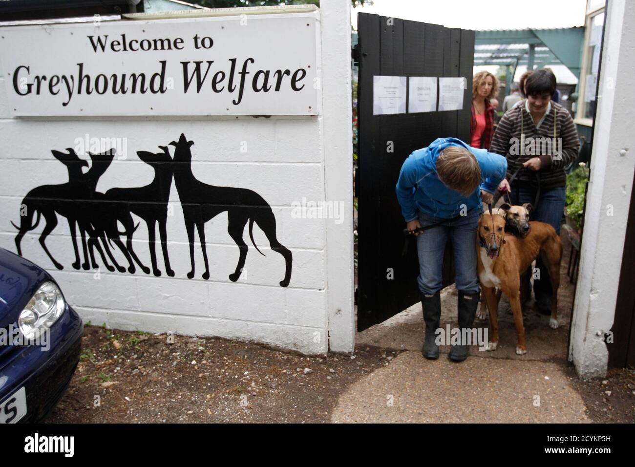 British animal welfare charity hi-res stock photography and images - Alamy