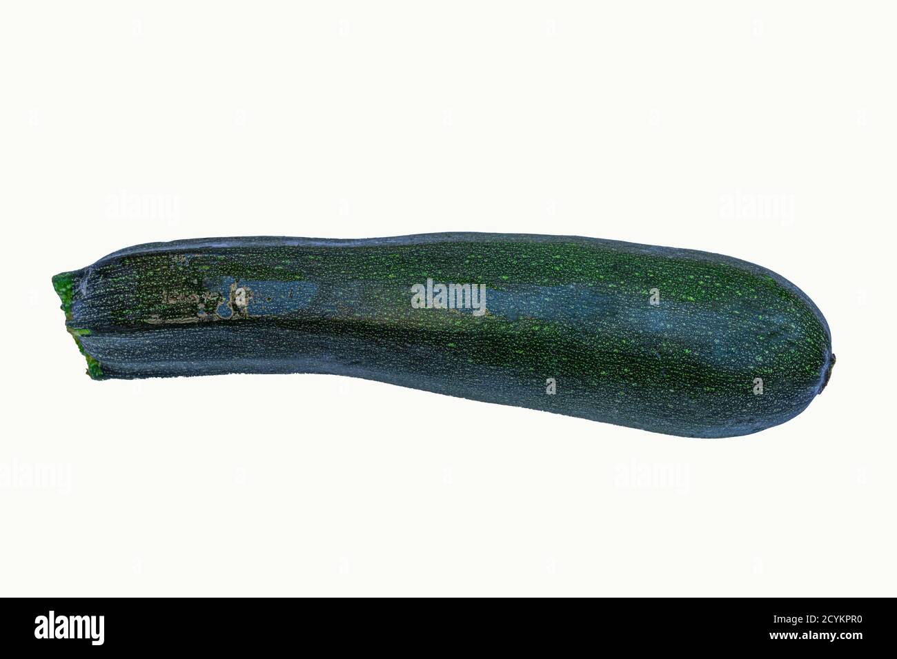 Close up of courgette isolated on white background Stock Photo - Alamy