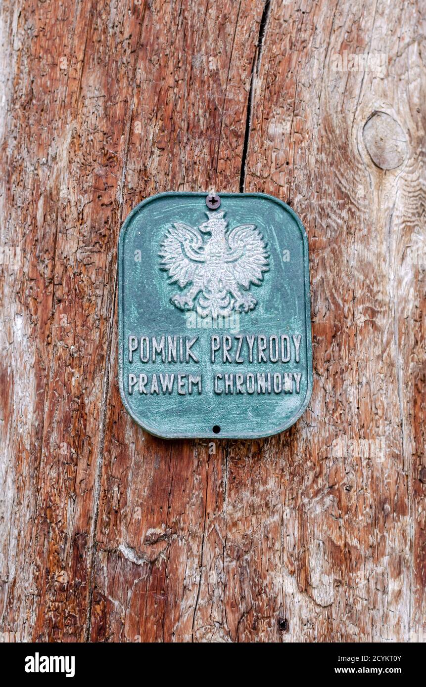 An old tree bark with sign "natural monument" in Poland, Europe, Save ...