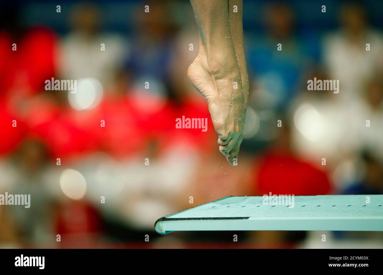 Springboard synchronized diver hi-res stock photography and images - Alamy