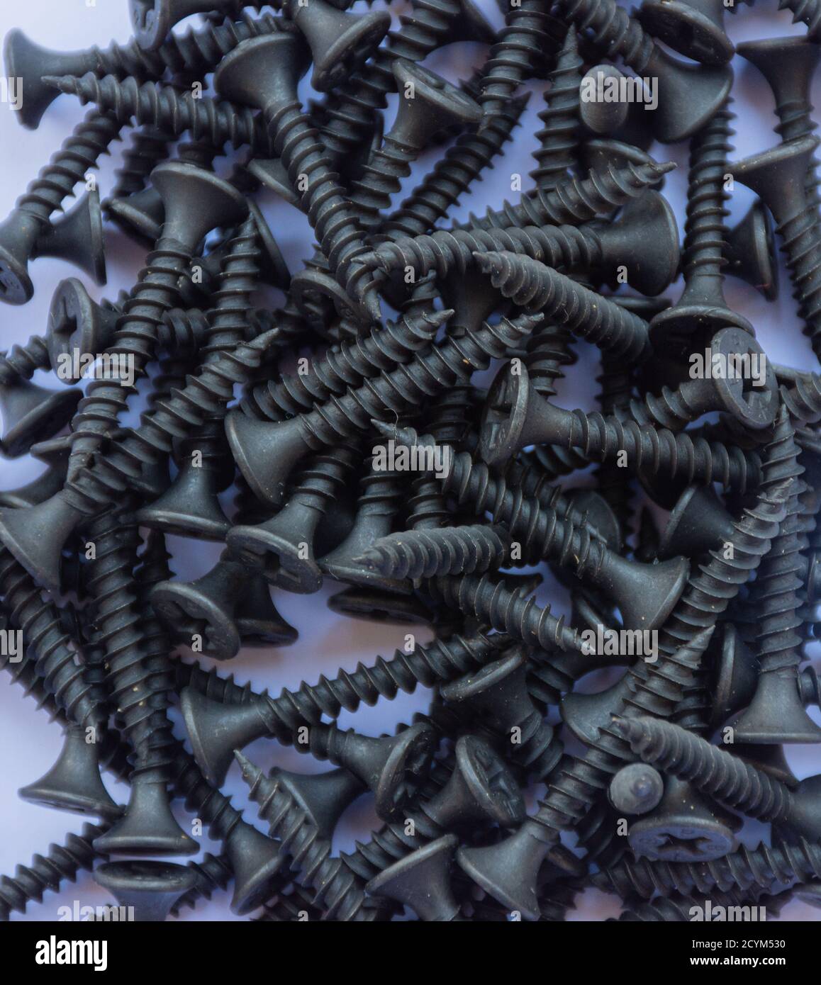 Close up of threaded wood screws Stock Photo - Alamy