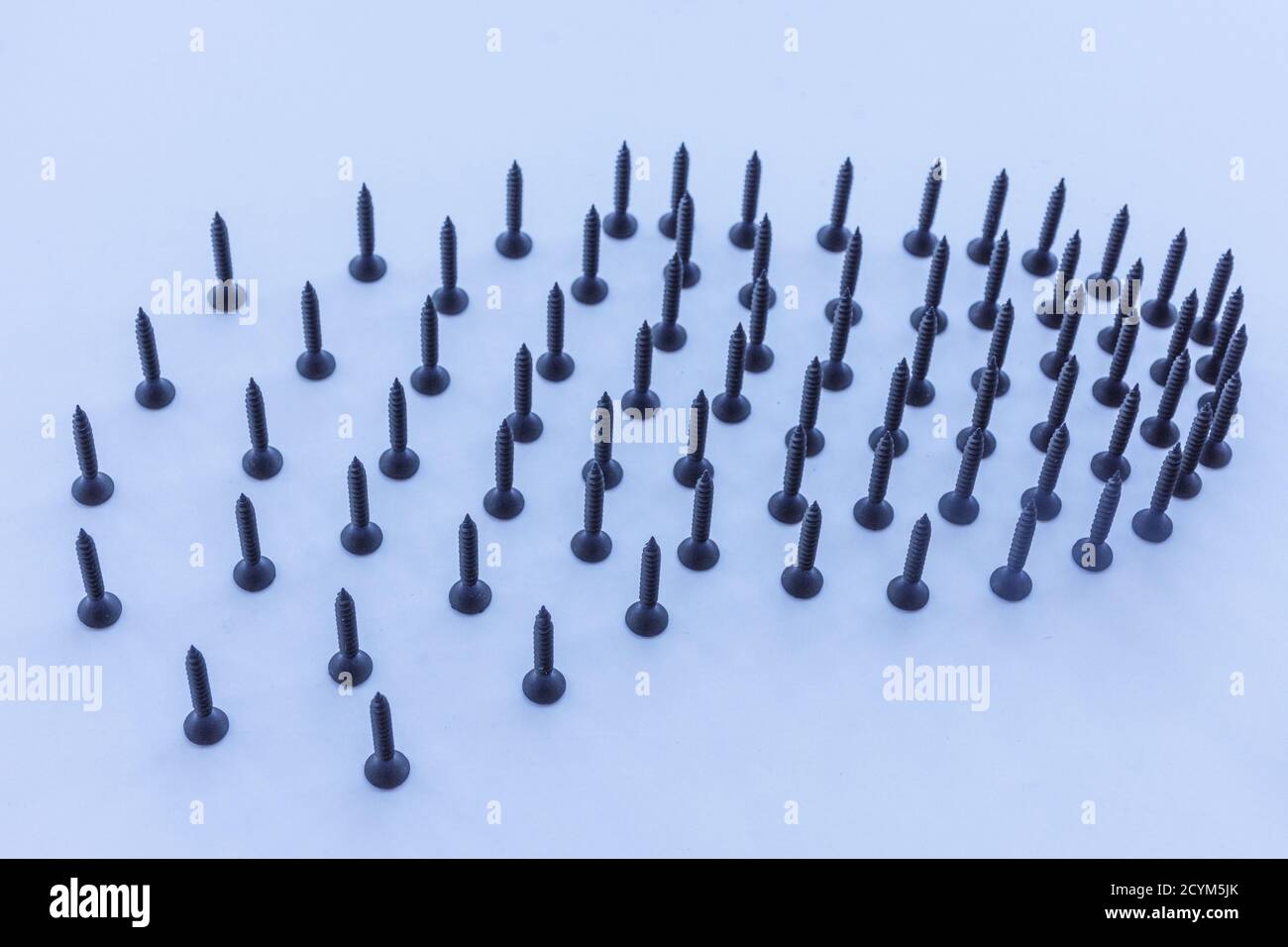 Close up of threaded wood screws Stock Photo - Alamy
