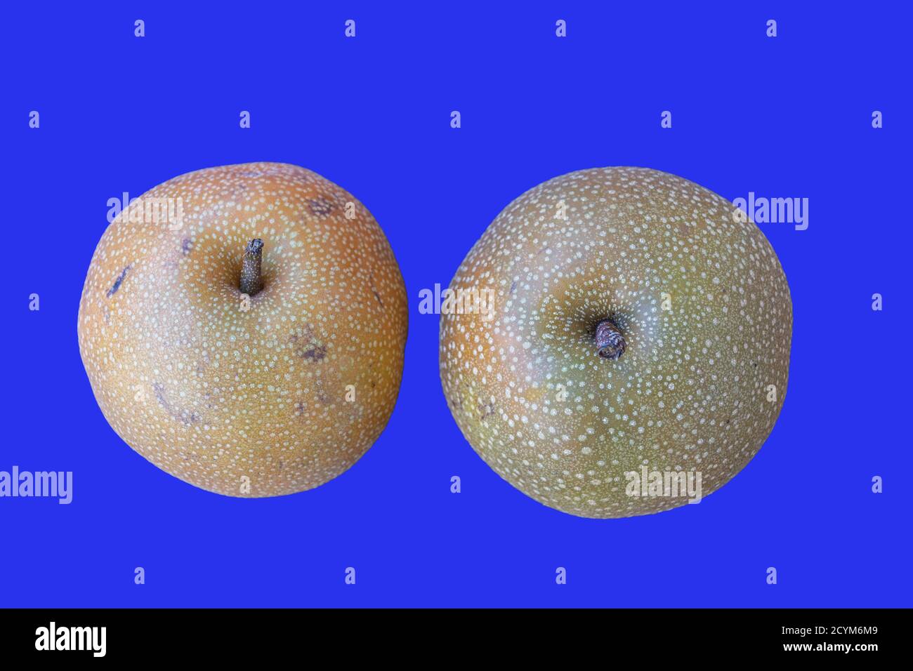Close up of Japanese nashi pears Stock Photo - Alamy