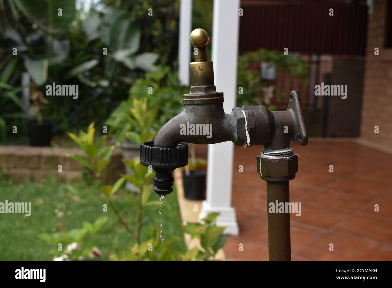A tap running water with water dripping out of it Stock Photo - Alamy