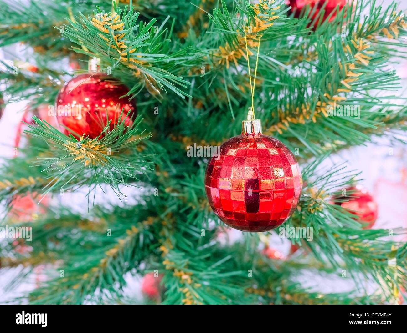 Red glossy balls hang on the New Year tree. Focus to the foreground ...