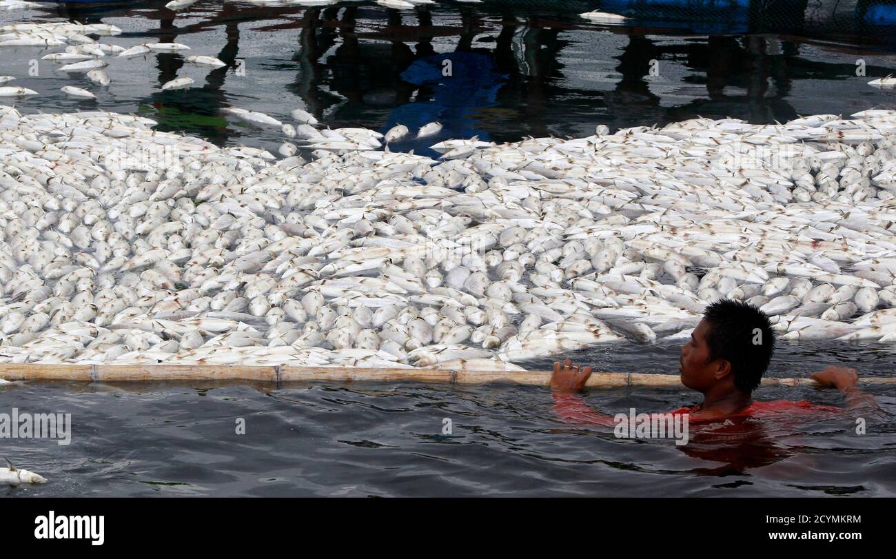 Bamboo fish cage hi-res stock photography and images - Alamy