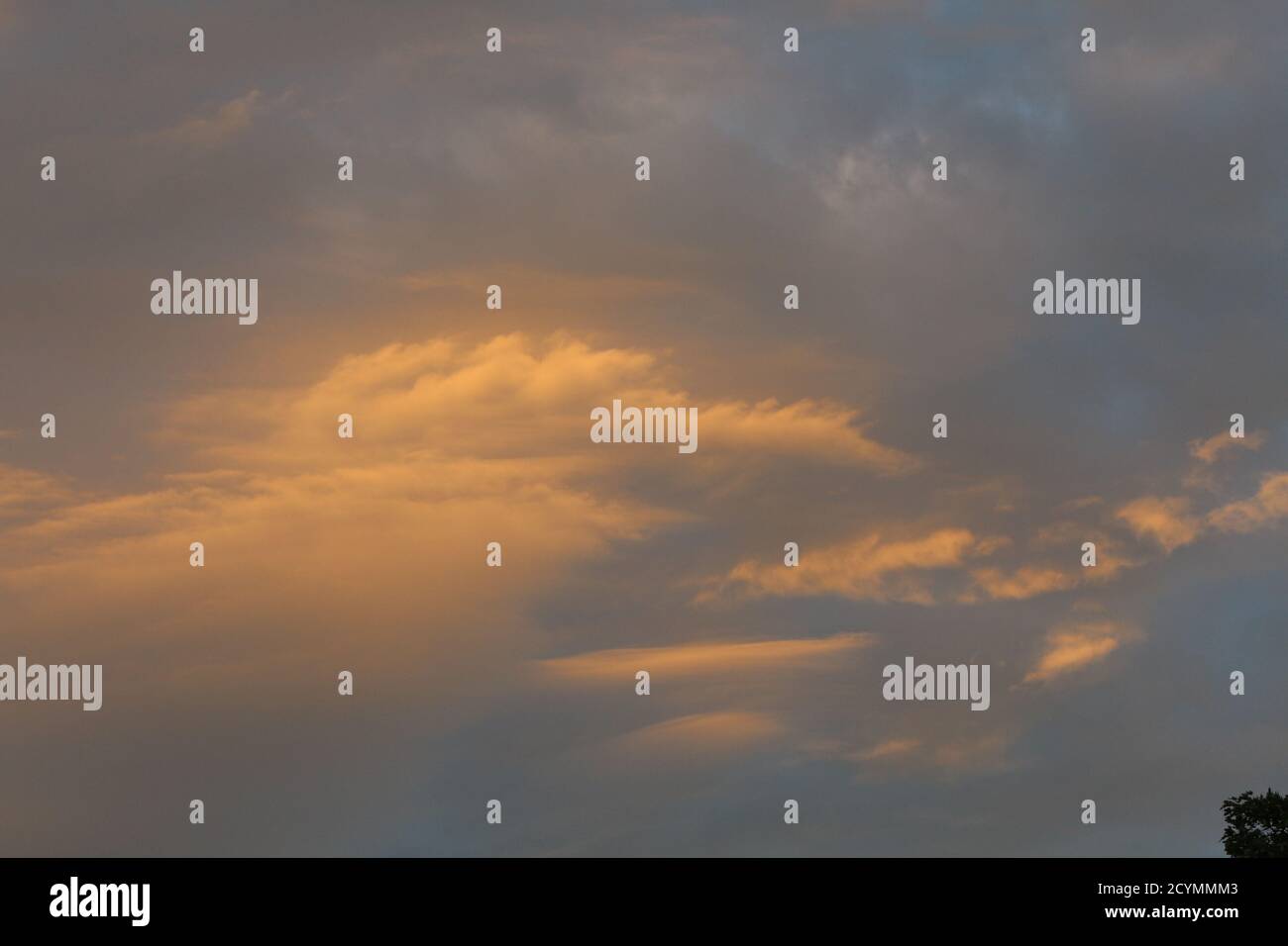 Early Evening Background