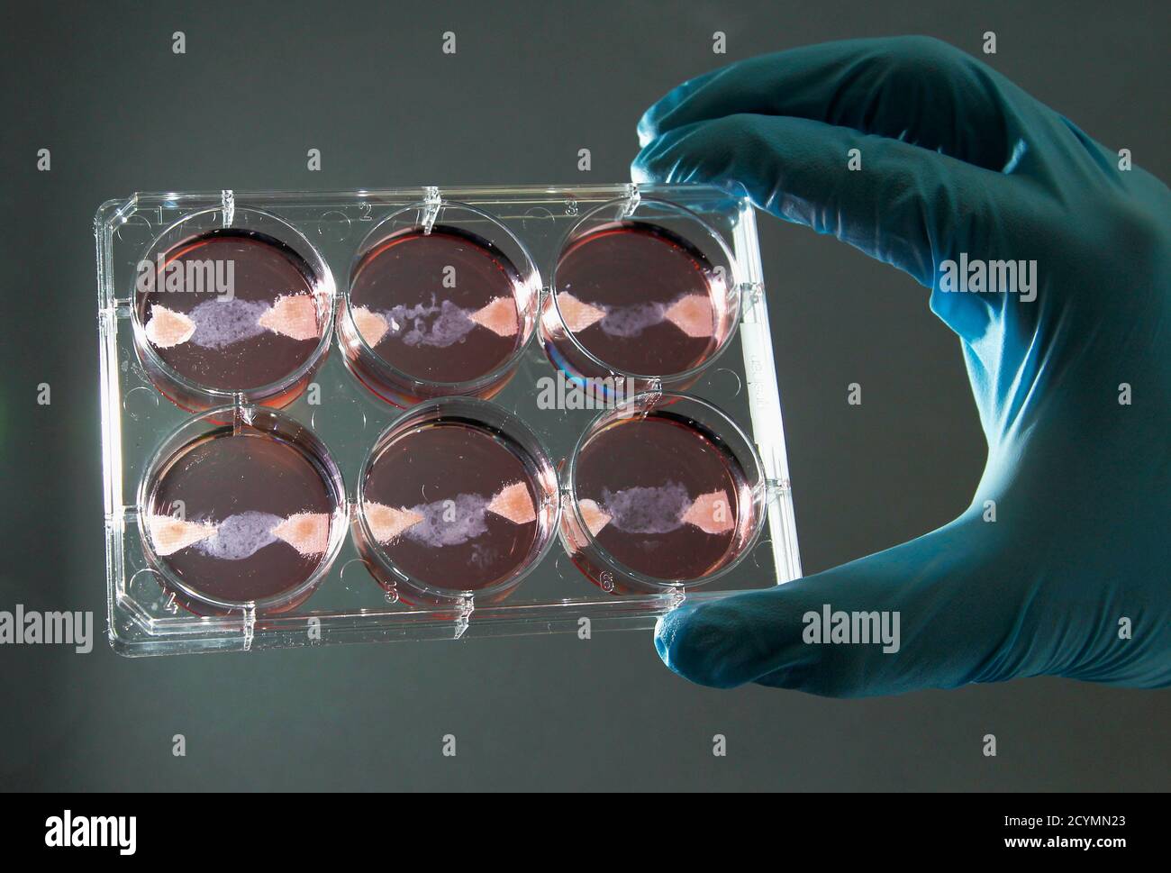 Medical laboratory technology save lives hi-res stock photography and ...