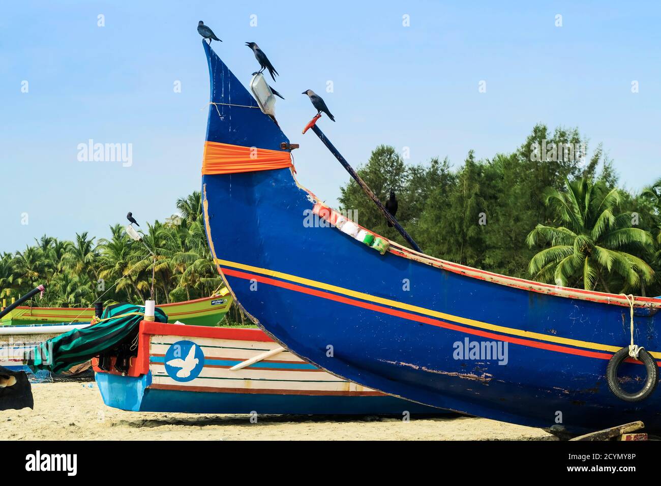 Colourful fishing boats with some of the numerous house crows here on ...