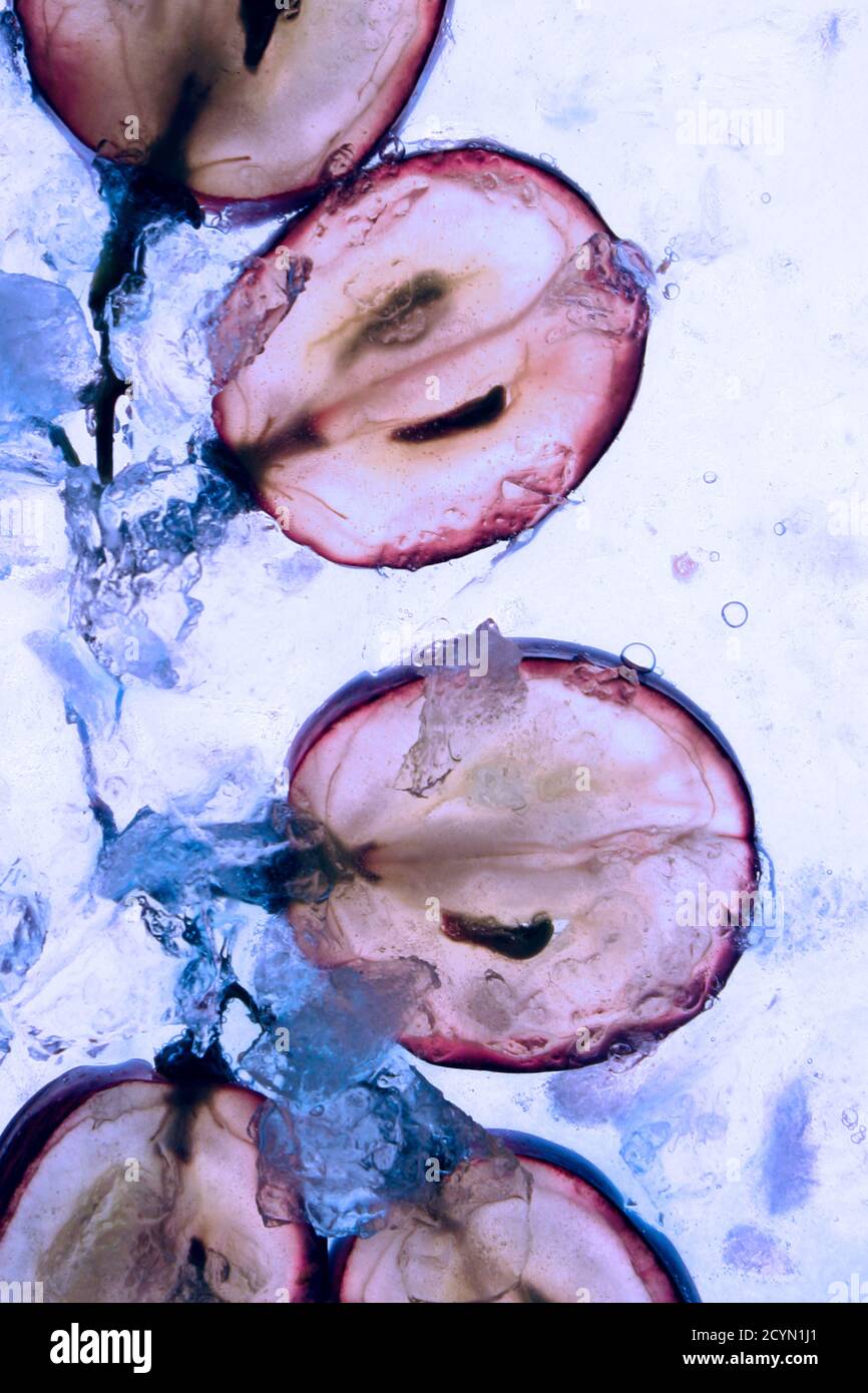 Translucent slice of red grape fruit Stock Photo - Alamy