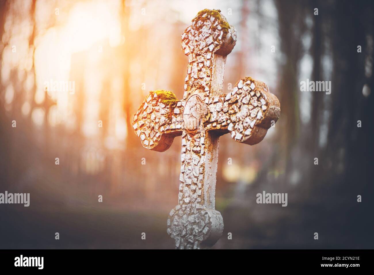 An old stone cracked cross, overgrown with moss, stands in the middle ...