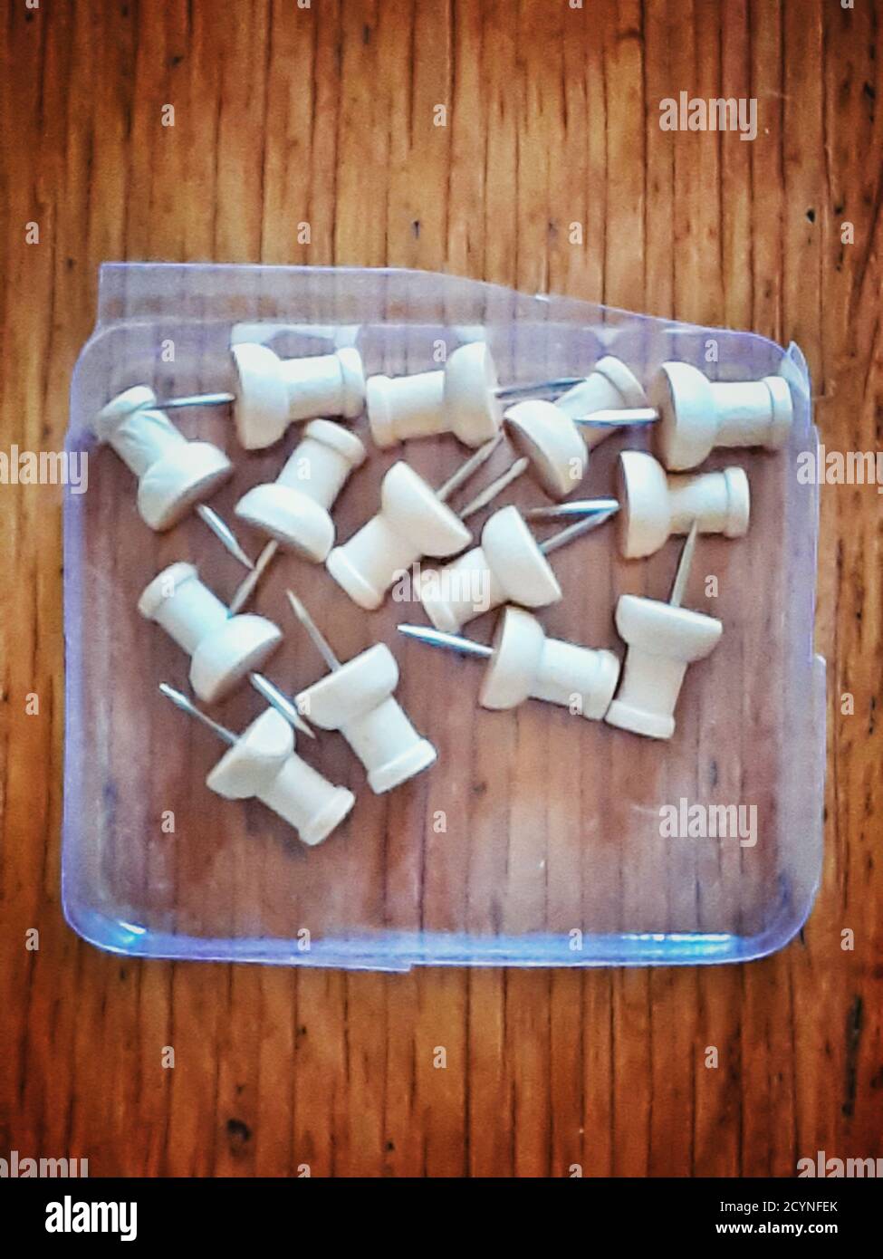 White pushpins in a plastic box Stock Photo - Alamy
