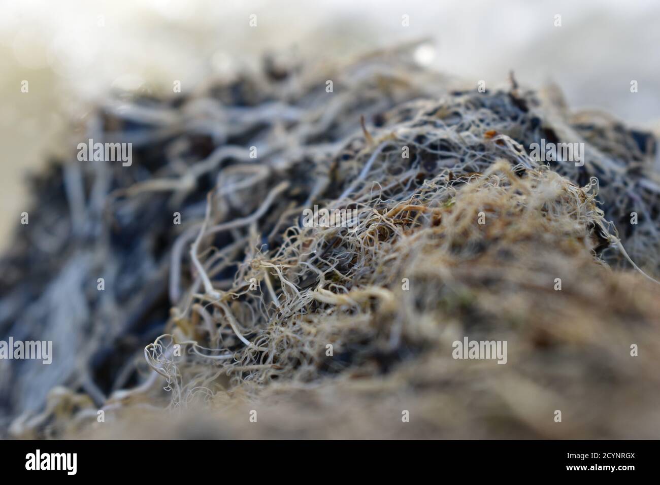 The seeds would soon grow here on the soft soil on the early spring day ...