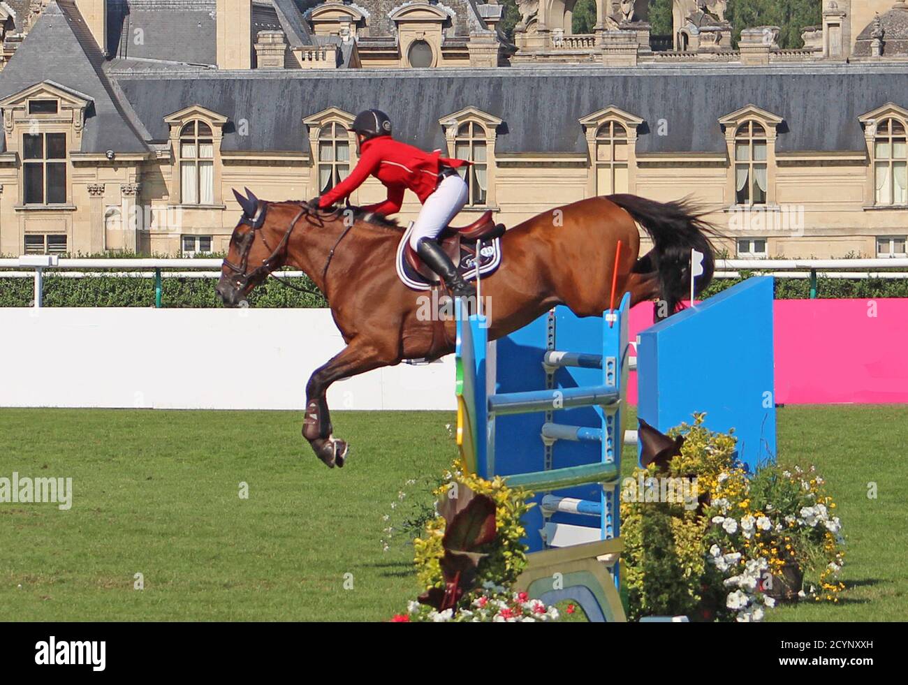 Chevaux concours hi-res stock photography and images - Alamy