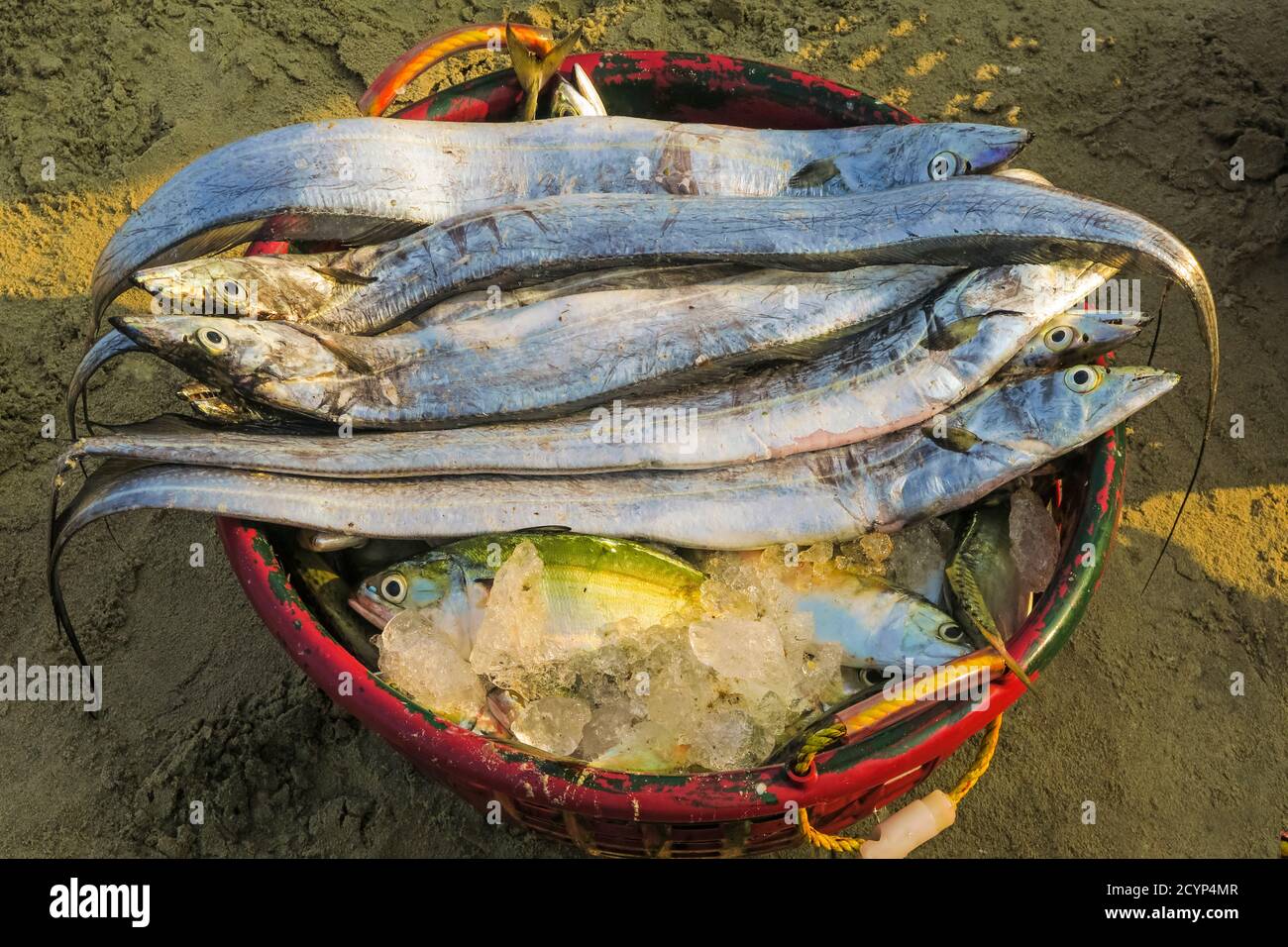Dried fish kerala hi-res stock photography and images - Alamy