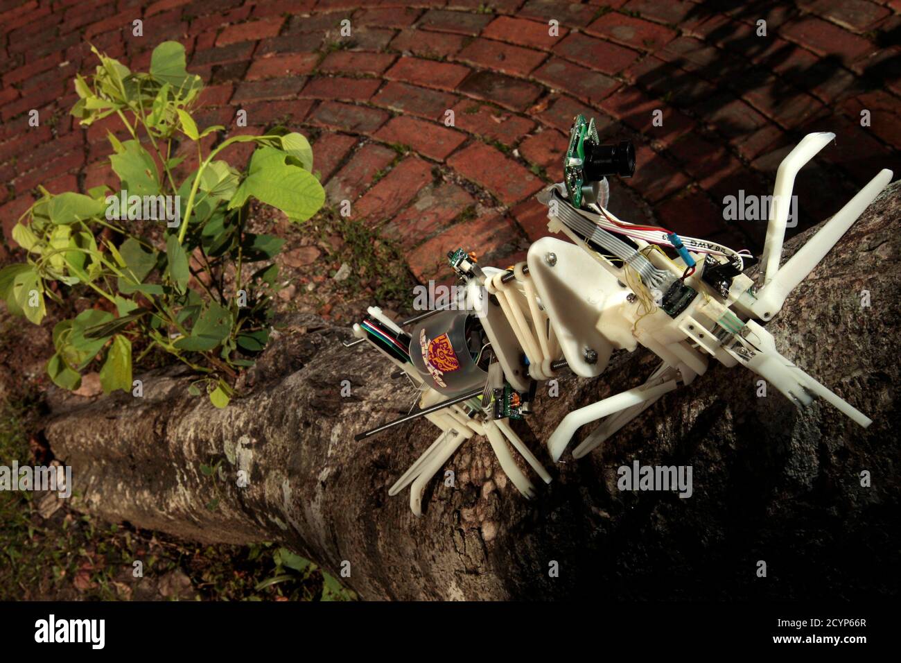Robot caterpillar hi-res stock photography and images - Alamy