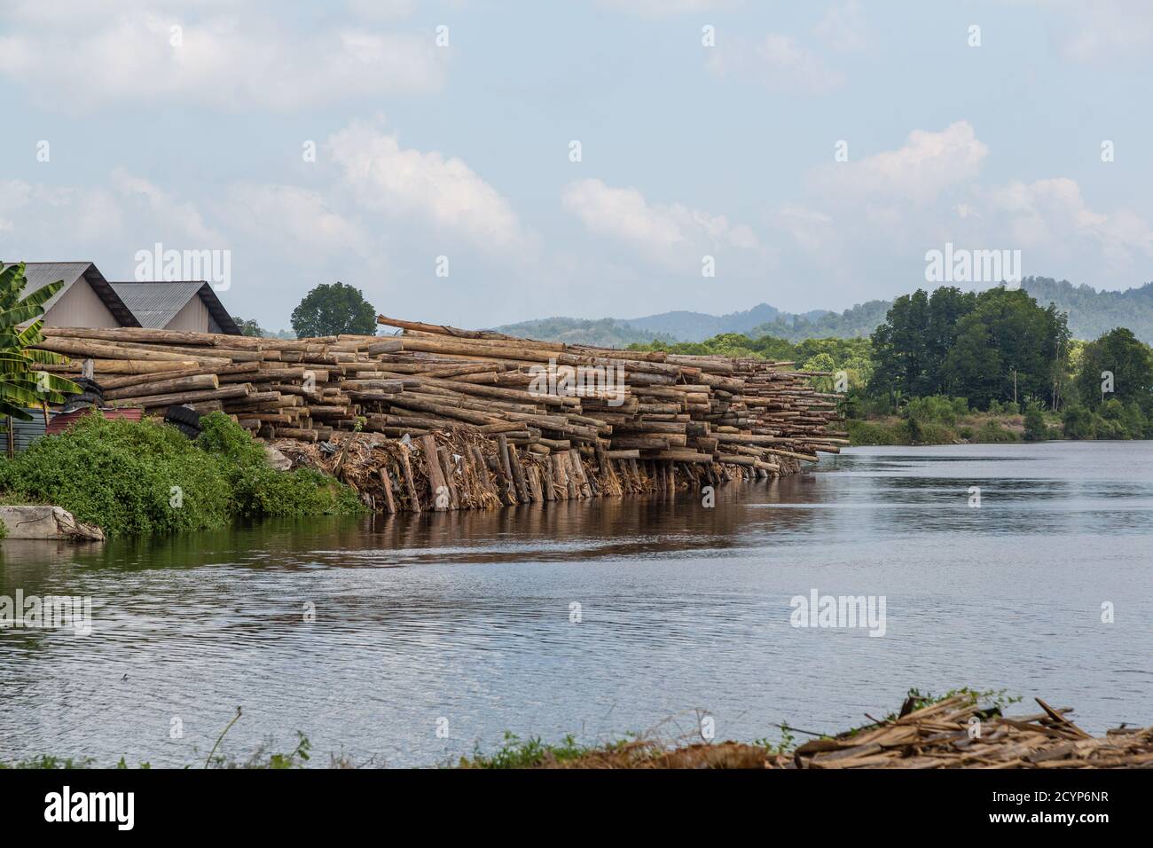 Timber storage at the delivery point of raw timbers, which come usually ...