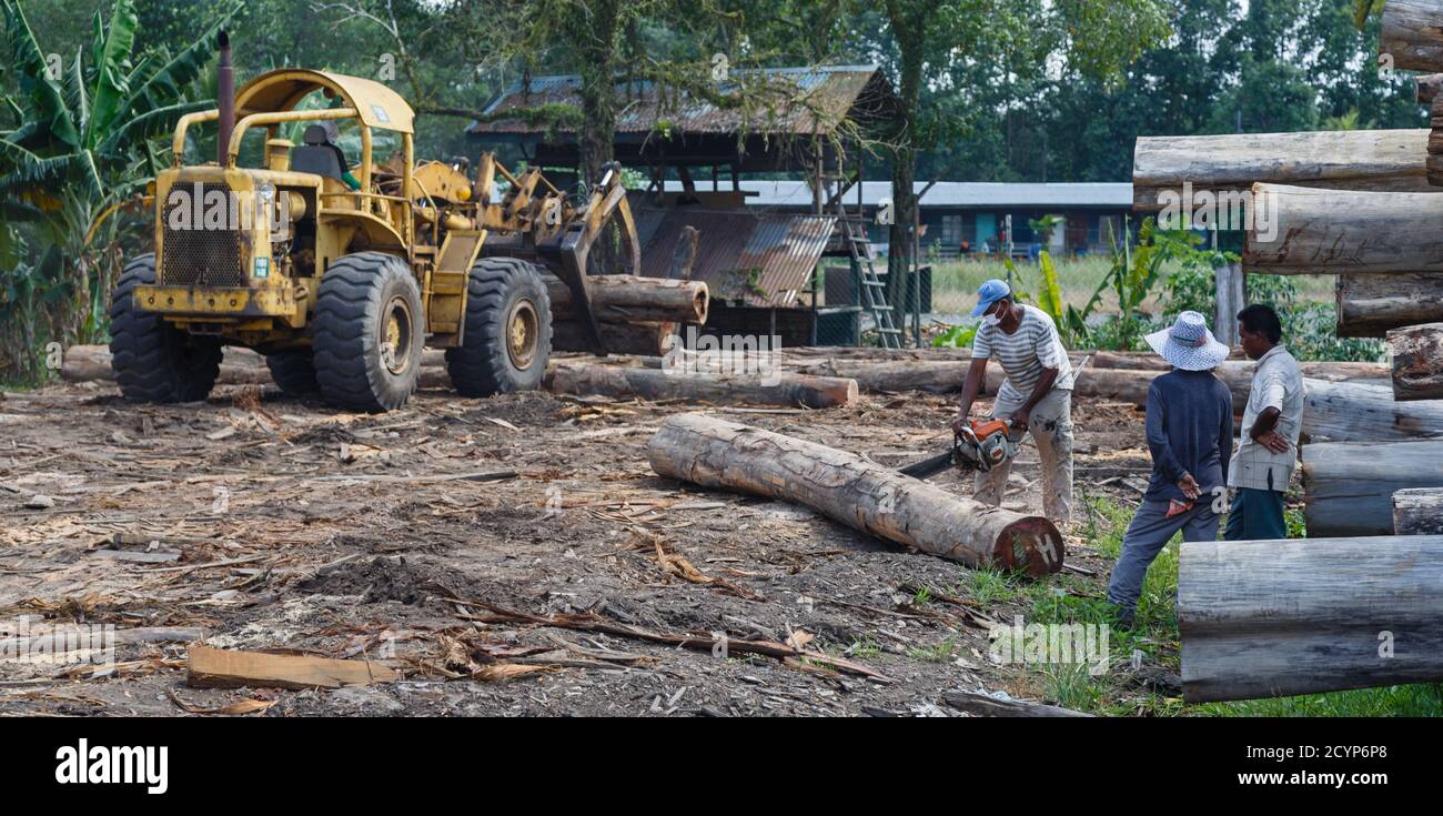 Saw mill worker hi-res stock photography and images - Alamy