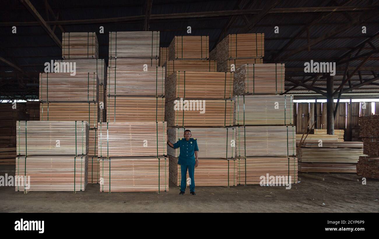 Stacks of sawn and formatted timber, ready for shipping, in a sawmill ...