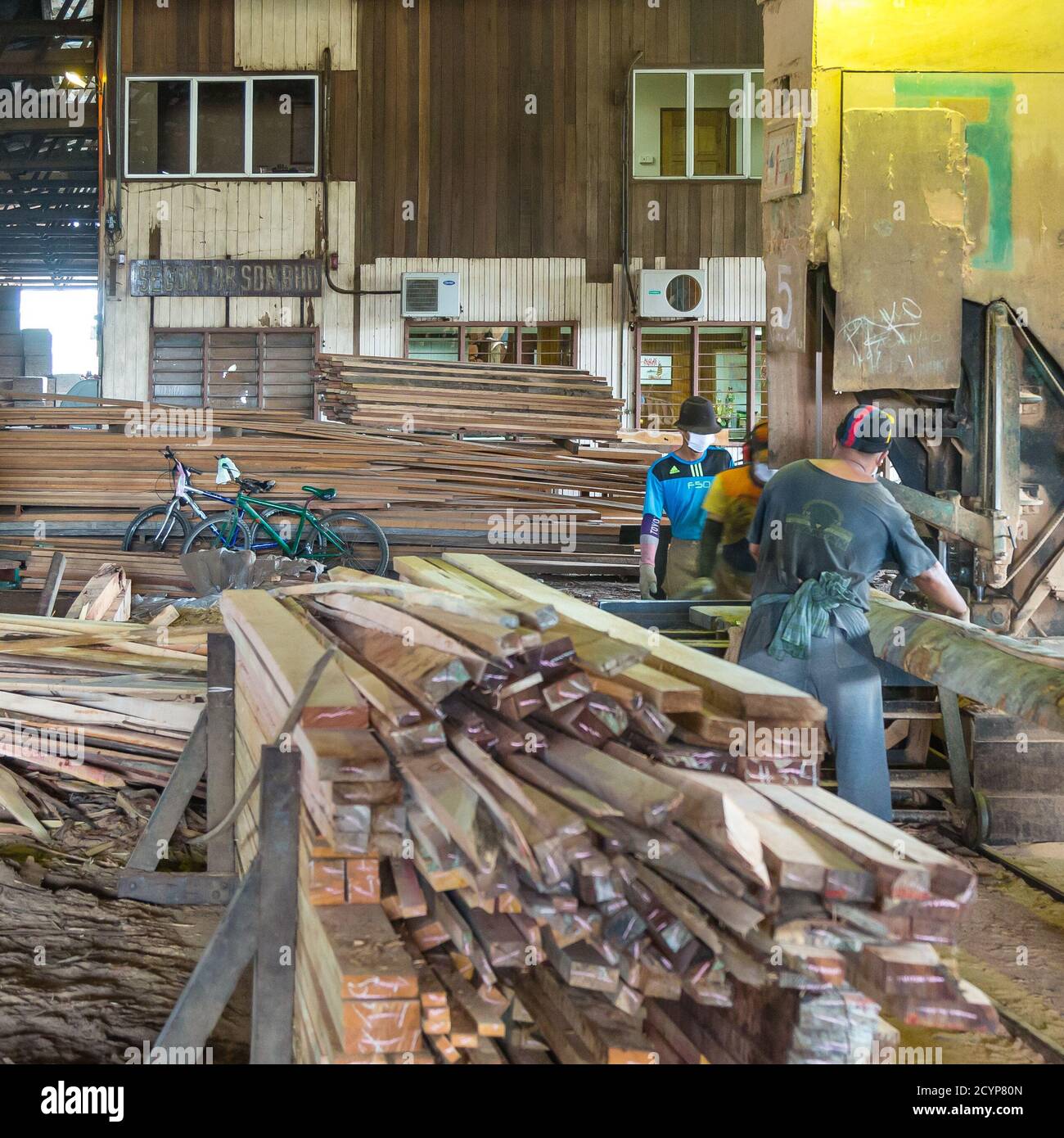 Workers are cutting big timbers into planks in a sawmill of Seguntor ...