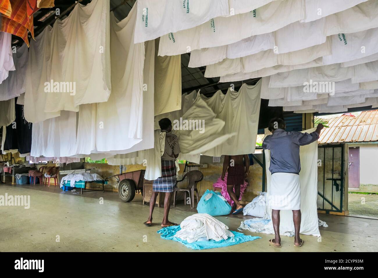 Men wearing lungis hanging sheets to dry at the Dhobi Khana, a rare old ...