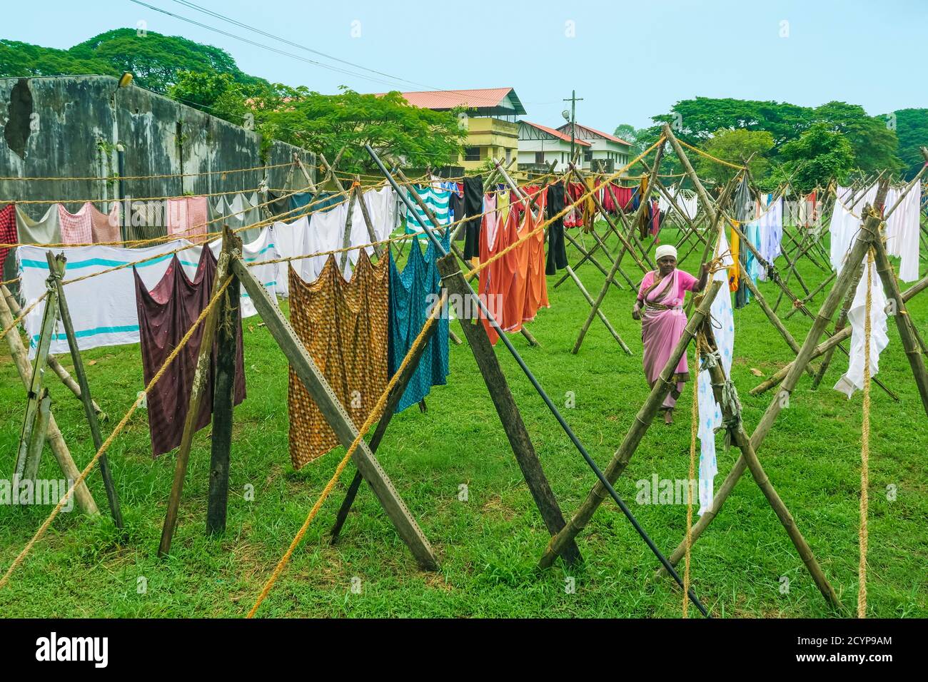 Old lady worker walking amongst the washing lines at the Dhobi Khana, a ...