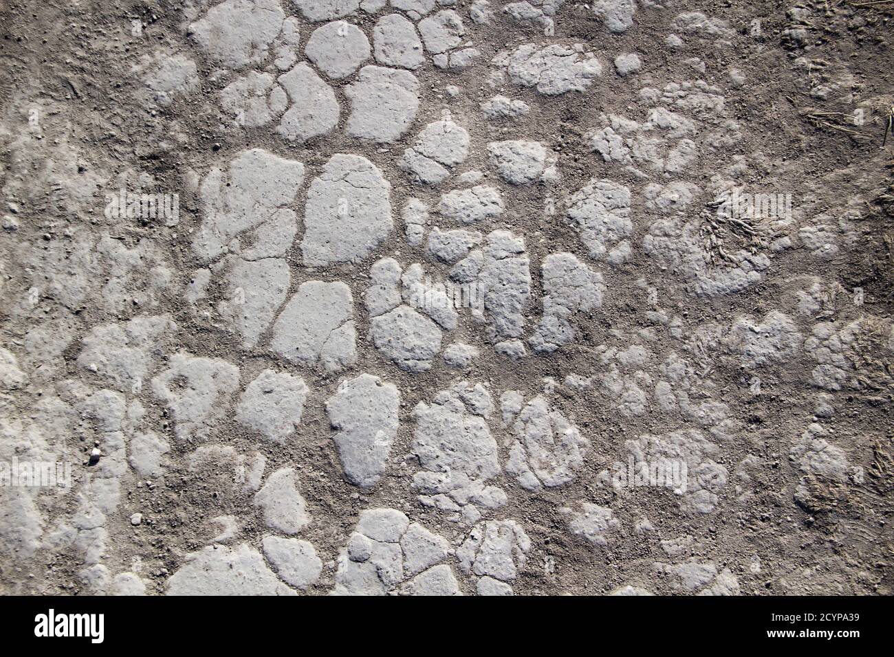Texture of cracked chalk road. Background from cretaceous road Stock ...
