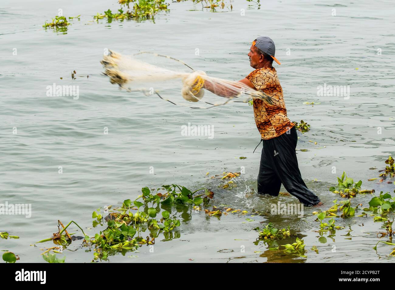 Fisherman throwing his weighted circular hand net in floating seaweed ... Fisherman throwing his weighted circular hand net in floating seaweed ...