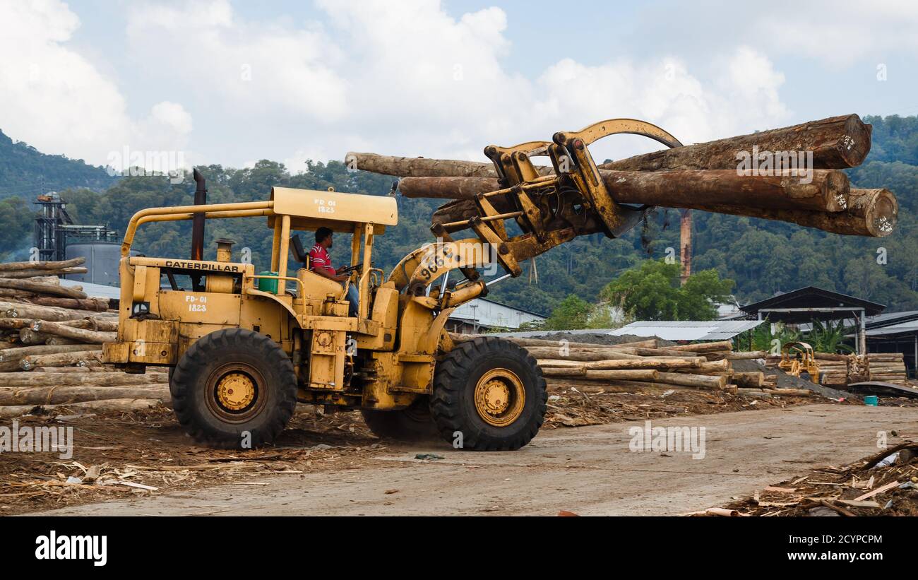 Sandakan, Sabah: A wheeled bulldozer with a log grabbing tool in a ...