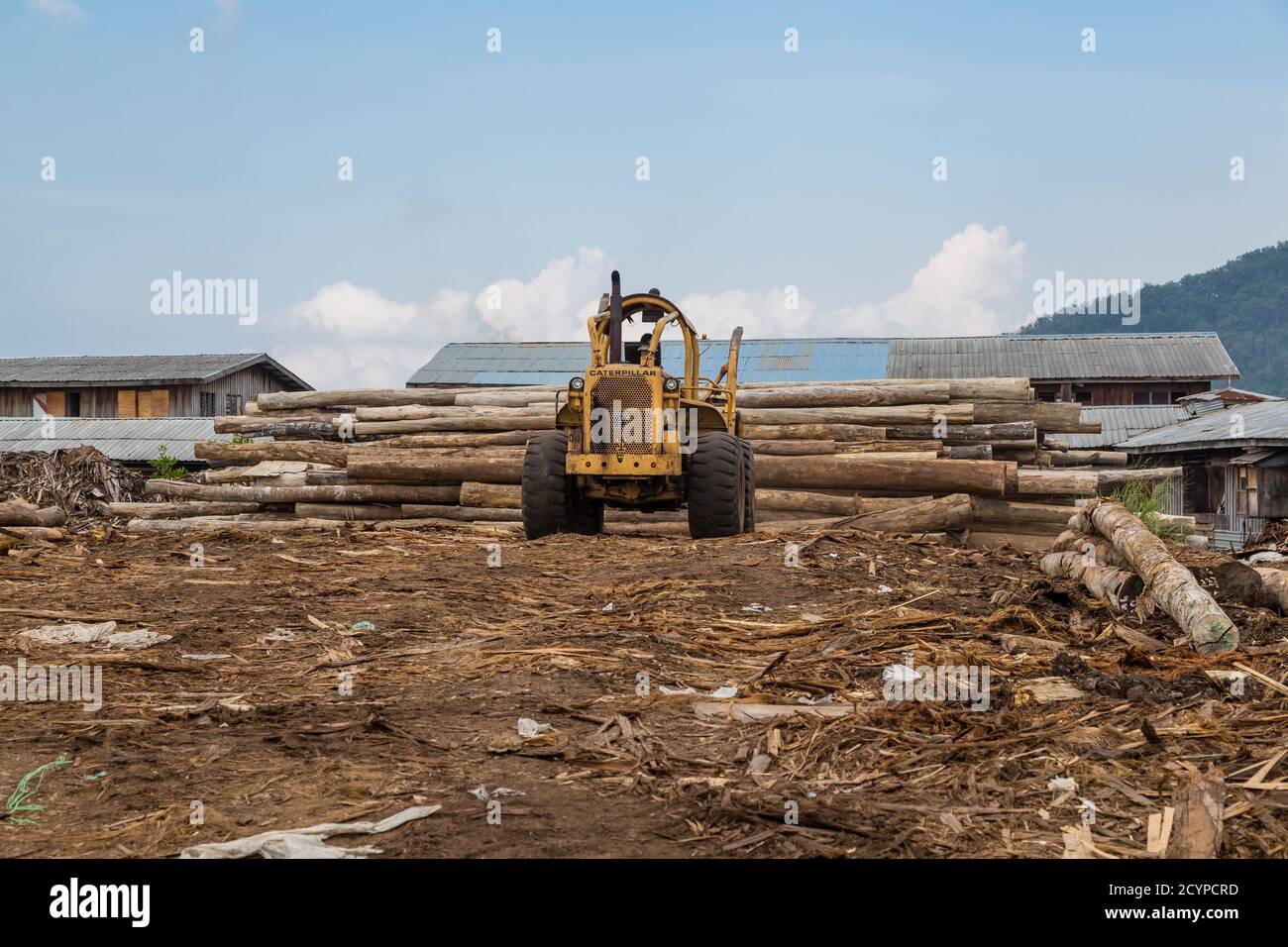 Timber storage of a plywood factory in Sandakan, Sabah, Malaysia ...