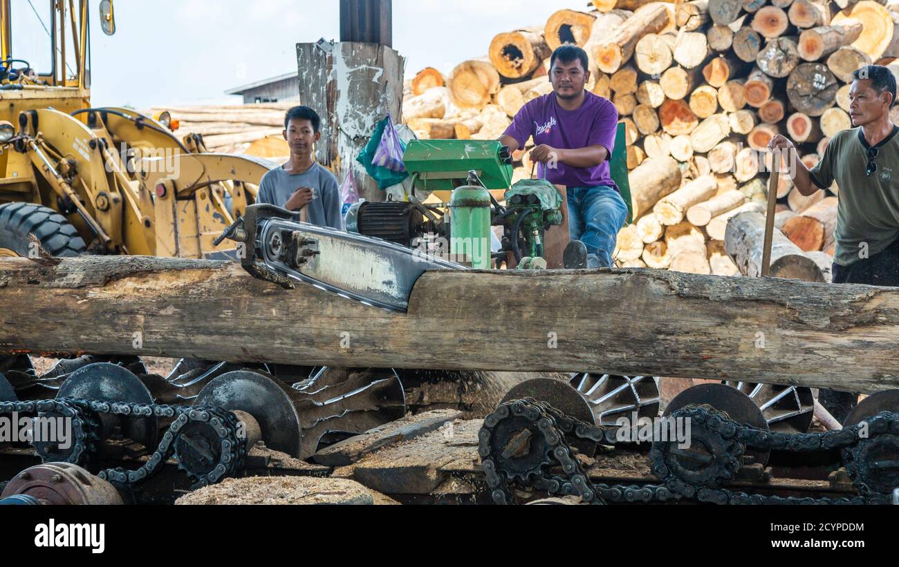 Saw mill of a plywood factory in Sandakan, Sabah, Malaysia. The timber ...