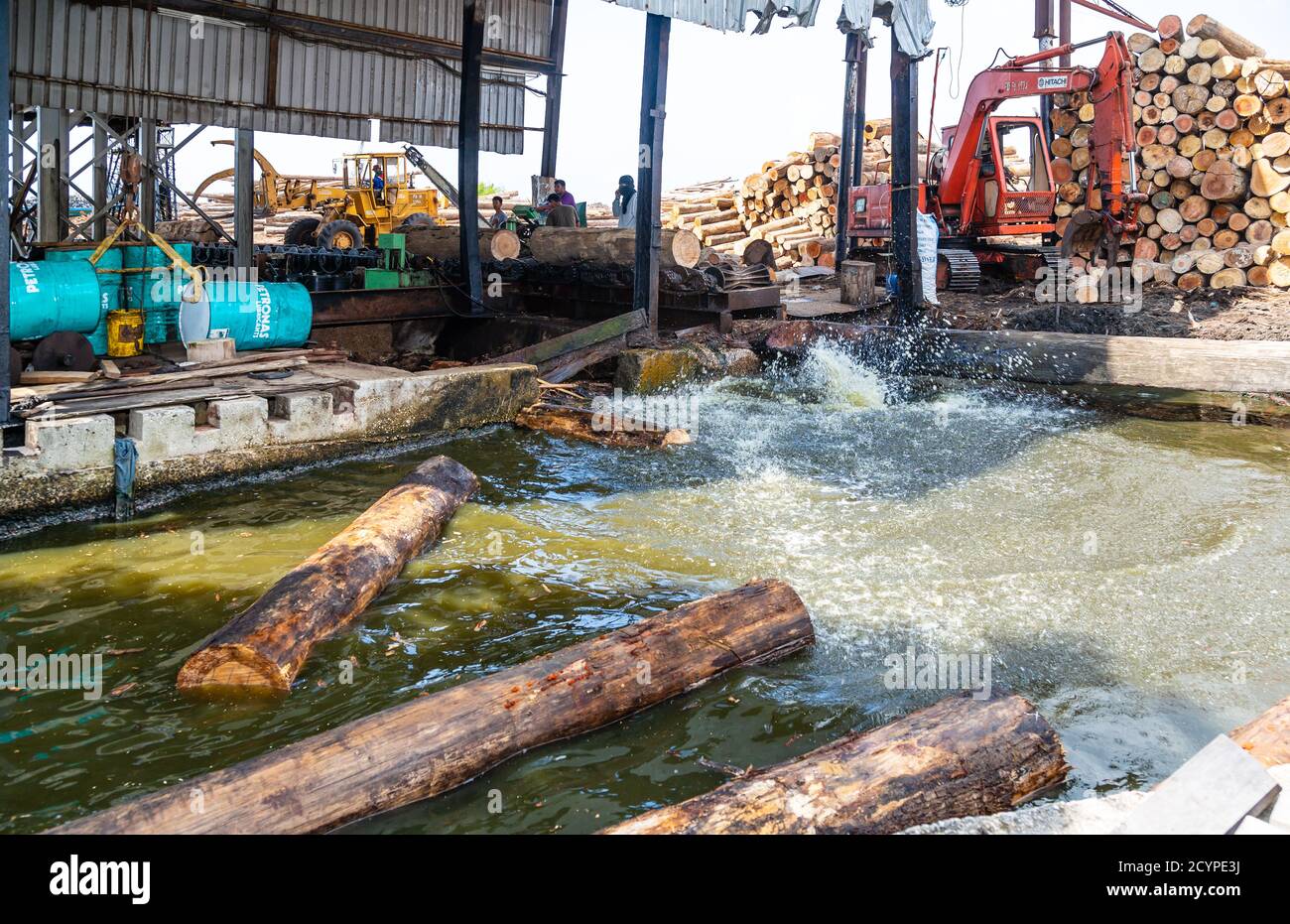 Chain saw timber factory hi-res stock photography and images - Alamy