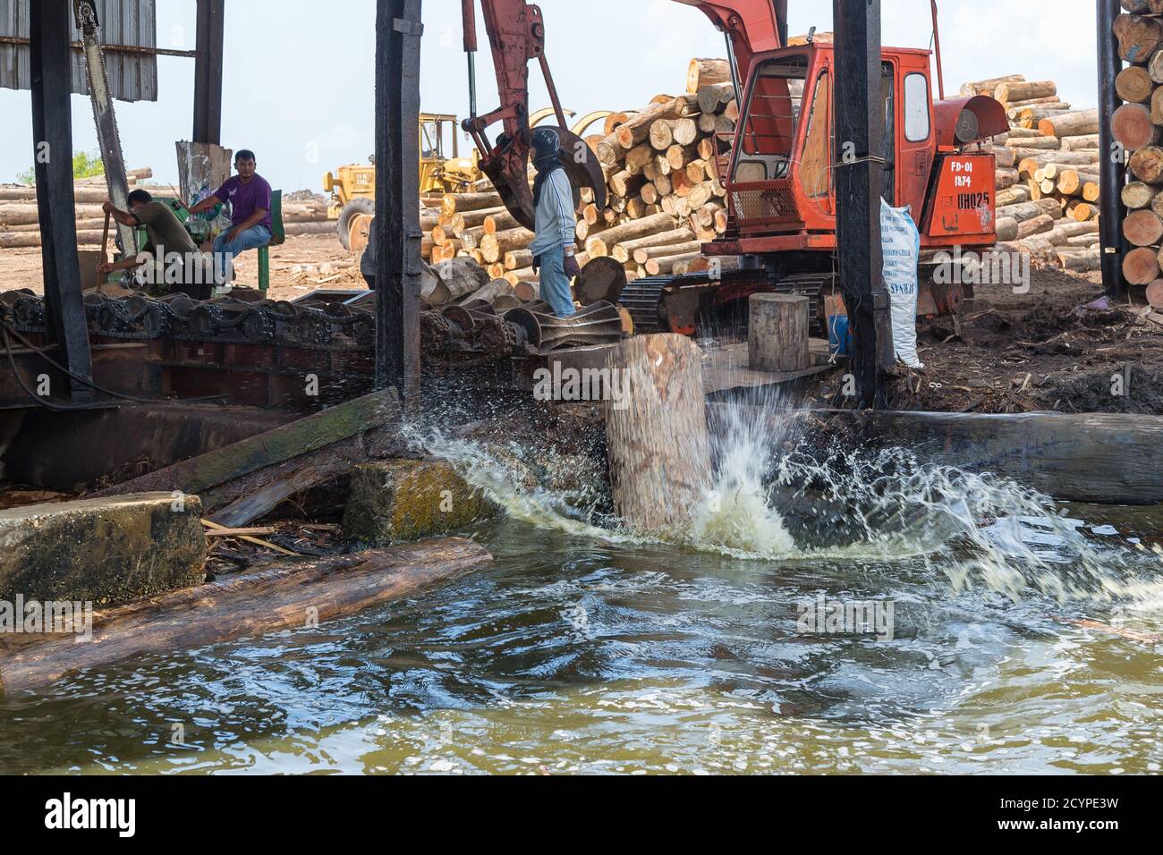 After cutting the logs to length at the saw mill of the plywood factory ...