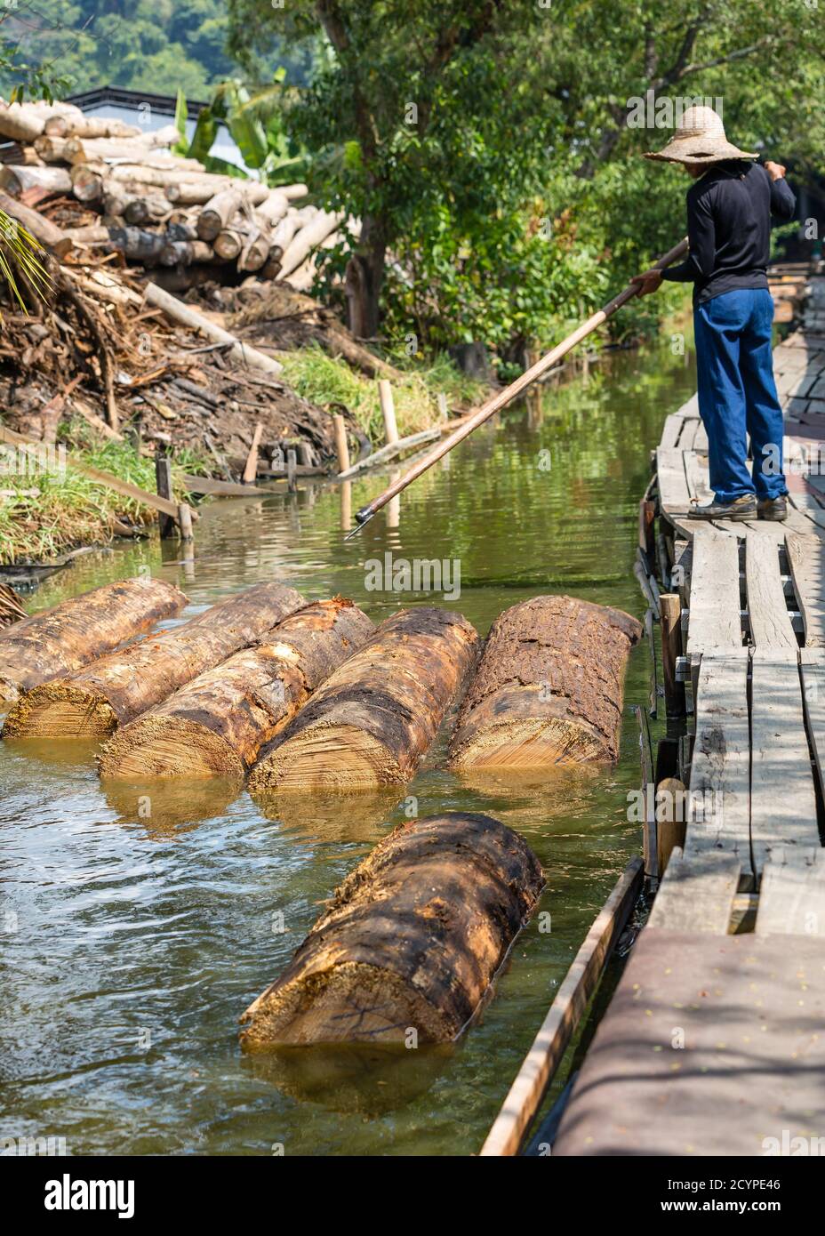 An elderly man with a straw hat is floating timber logs to the feeding ...