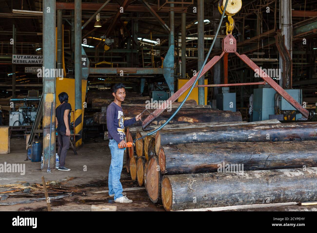 Feeding point of a plywood factory in Sandakan, Malaysia: Timber logs ...