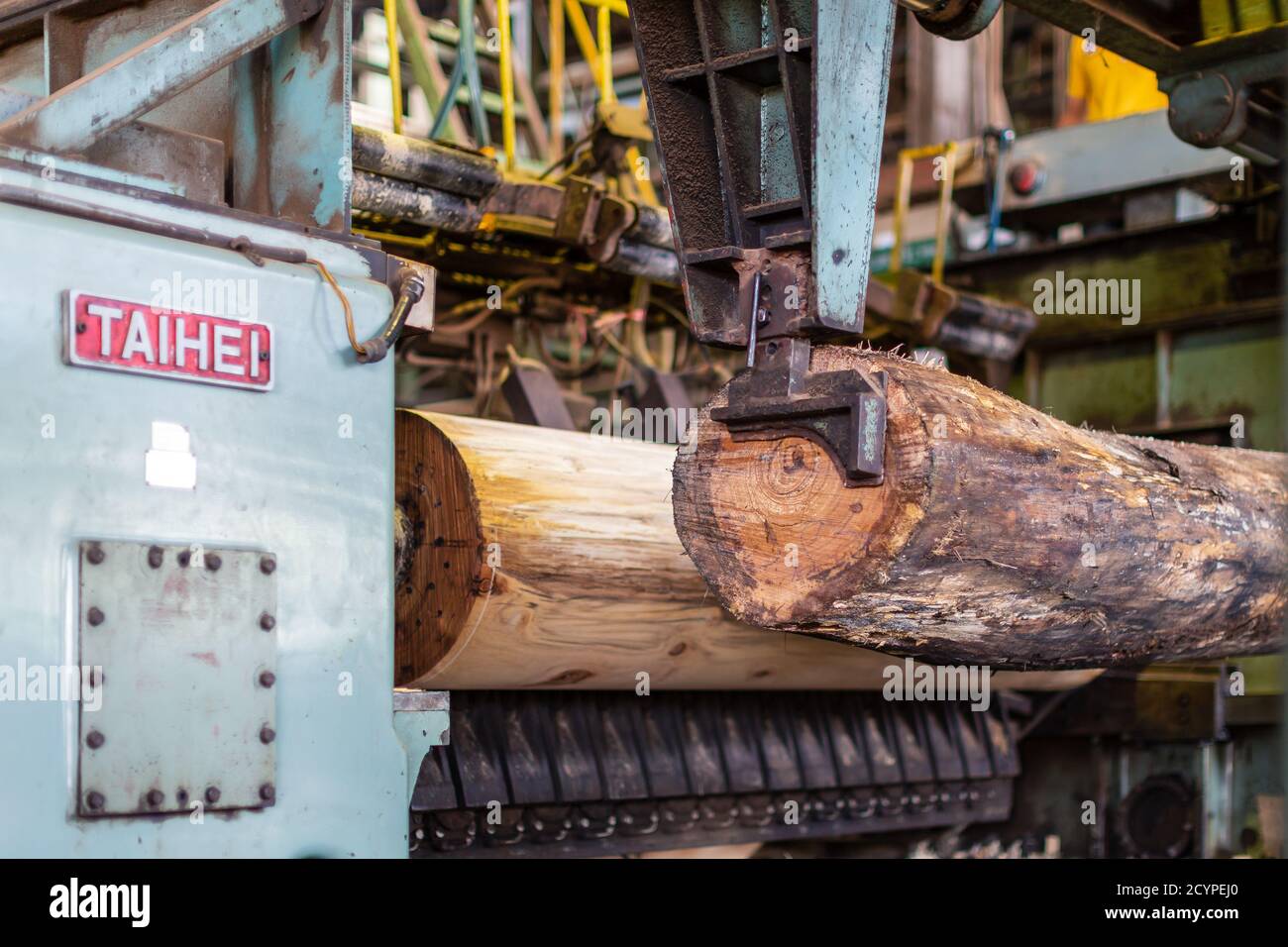 Veneer peeling lathe hi-res stock photography and images - Alamy