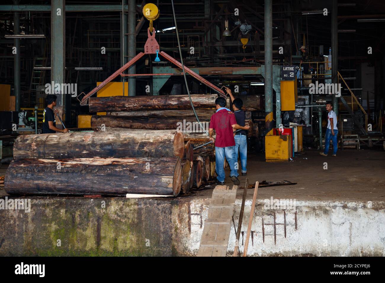 Feeding point of a plywood factory in Sandakan, Malaysia: Timber logs ...