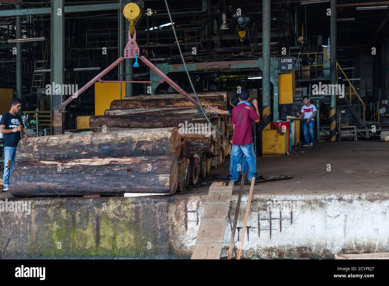 Feeding point of a plywood factory in Sandakan, Malaysia: Timber logs ...
