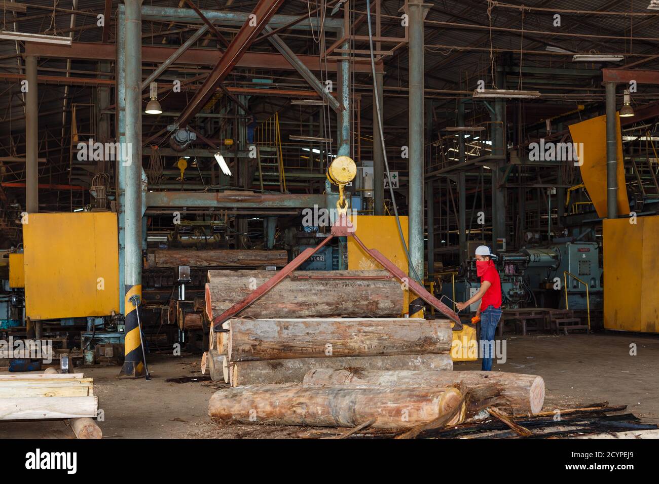 Feeding point of a plywood factory in Sandakan, Malaysia: Timber logs ...