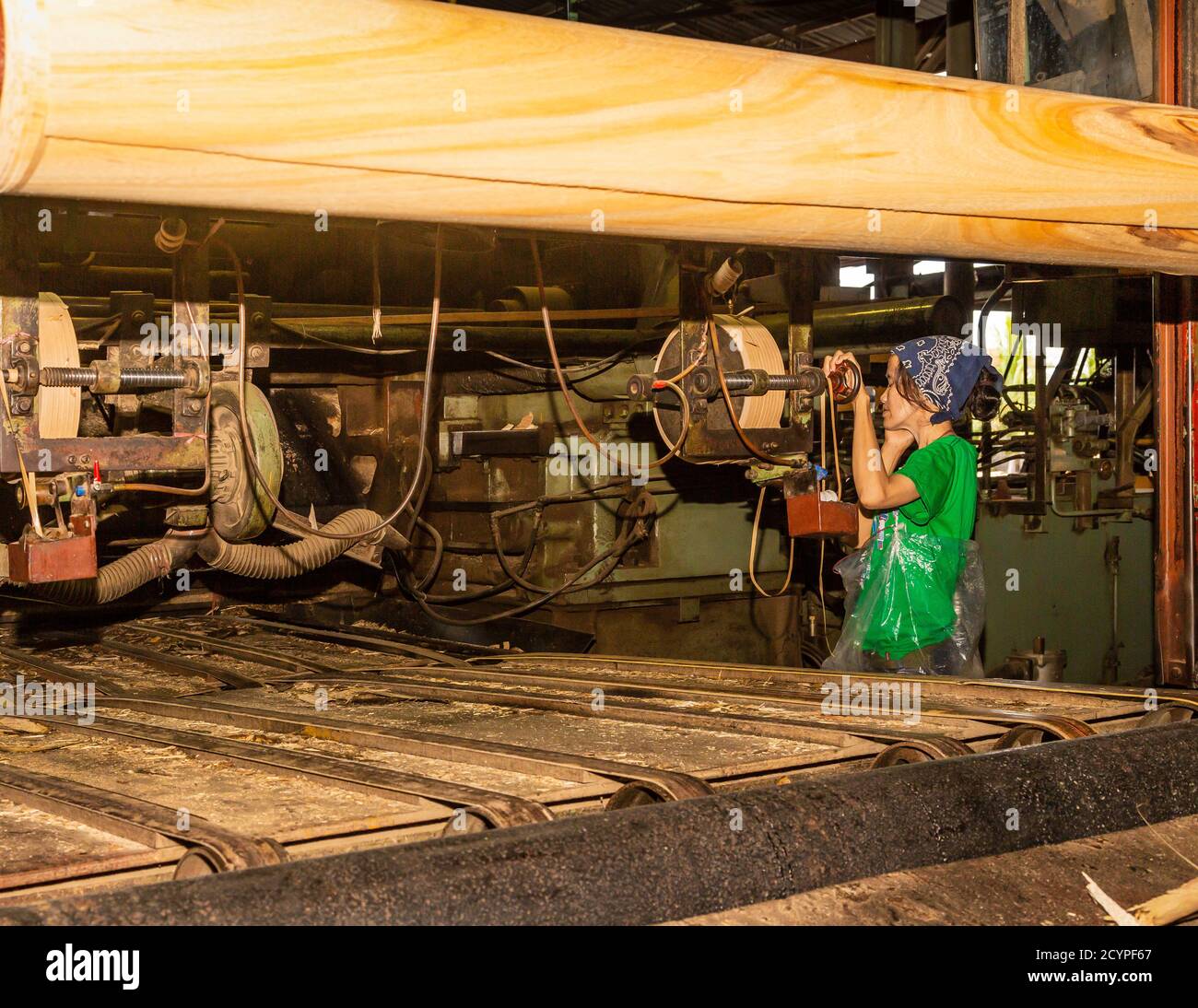 Veneer peeling lathe hi-res stock photography and images - Alamy