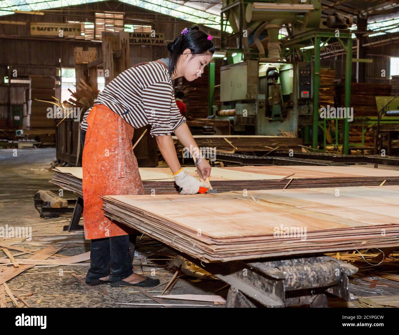 Repairing veneer sheets in a plywood factory in Sandakan, Sabah before ...