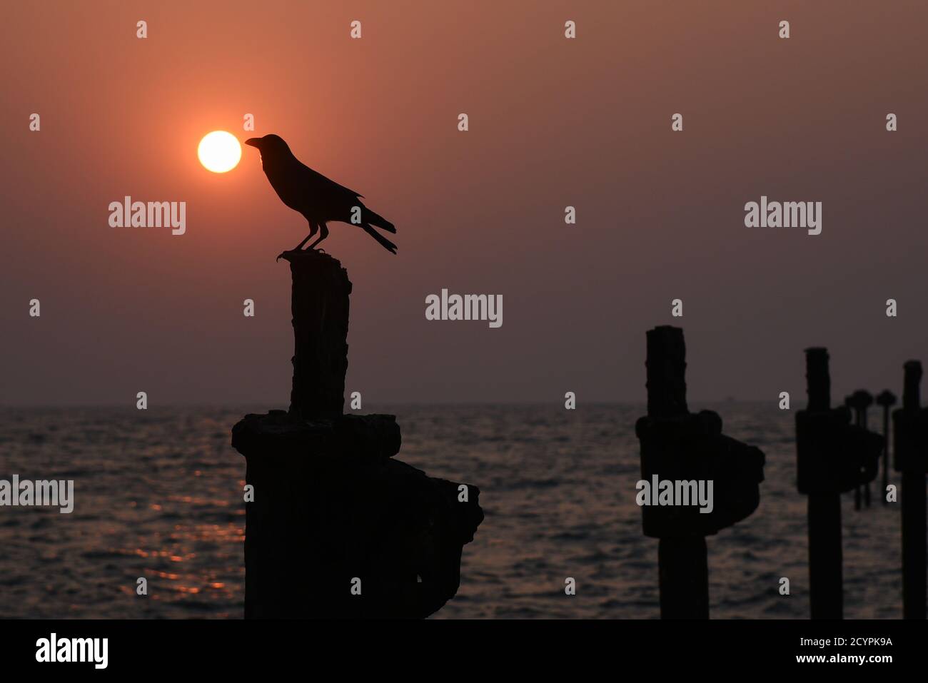 Ruins of an old abandoned sea bridge during sunset at Alappuzha or ...