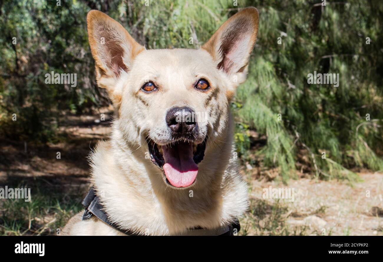 Smiling in the sun hi-res stock photography and images - Alamy