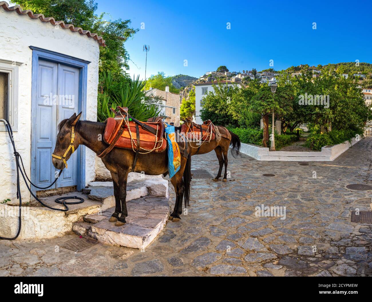 Donkeys stable hi-res stock photography and images - Alamy