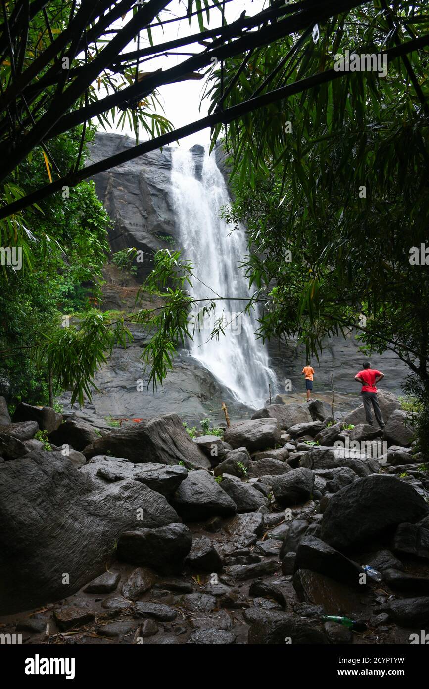 Misty forest and rocks, soothing Athirapally Vazhachal waterfall in ...