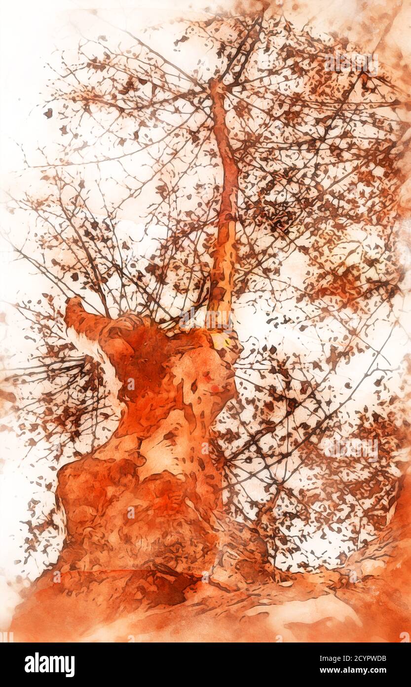 Whispers of leaves hi-res stock photography and images - Alamy Whispers of leaves hi-res stock photography and images - Alamy