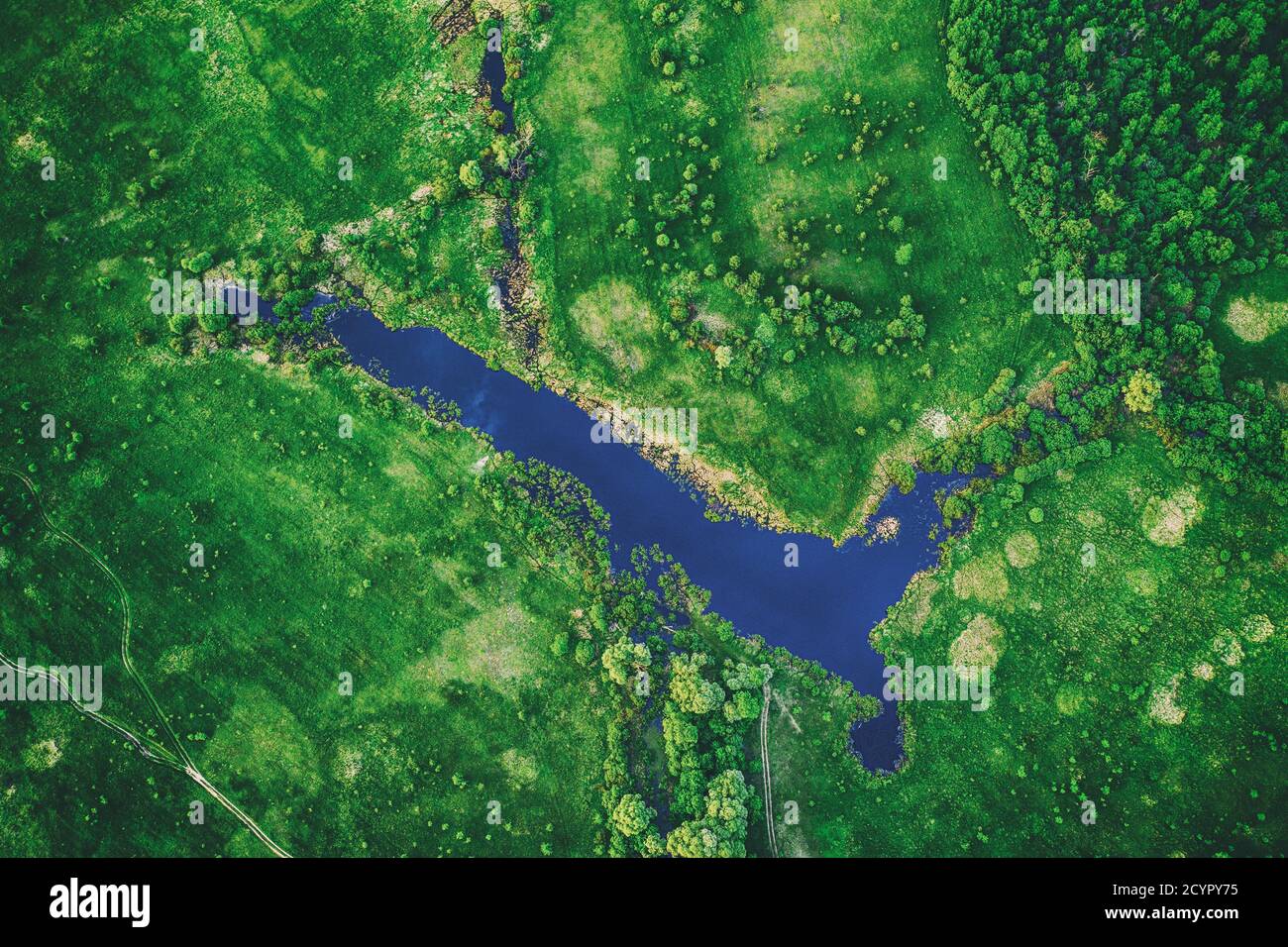 Aerial landscape of blue lake in green field, top view of beautiful ...