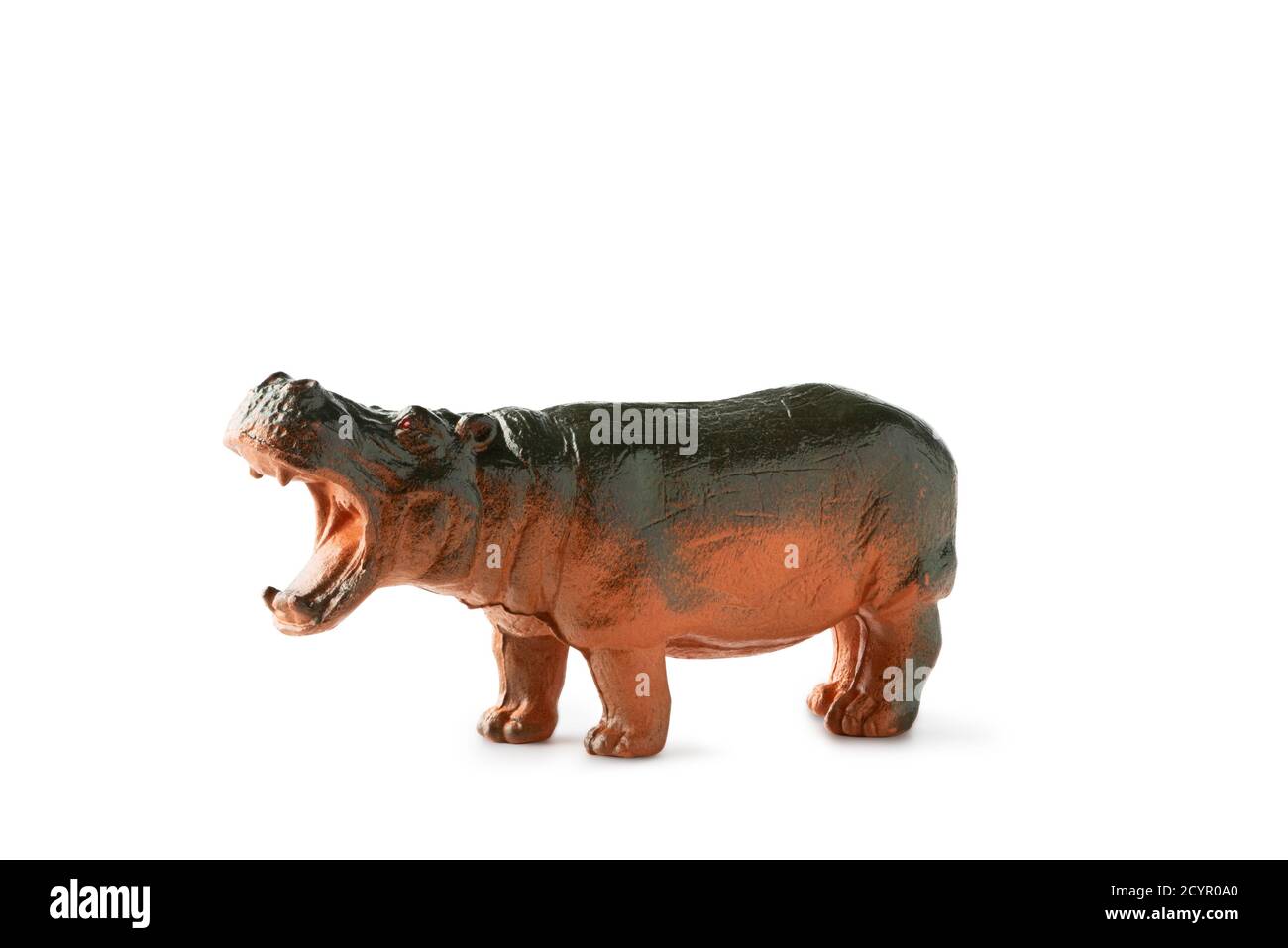 Hippo mini figure isolated on white background. Plastic animal toy ...