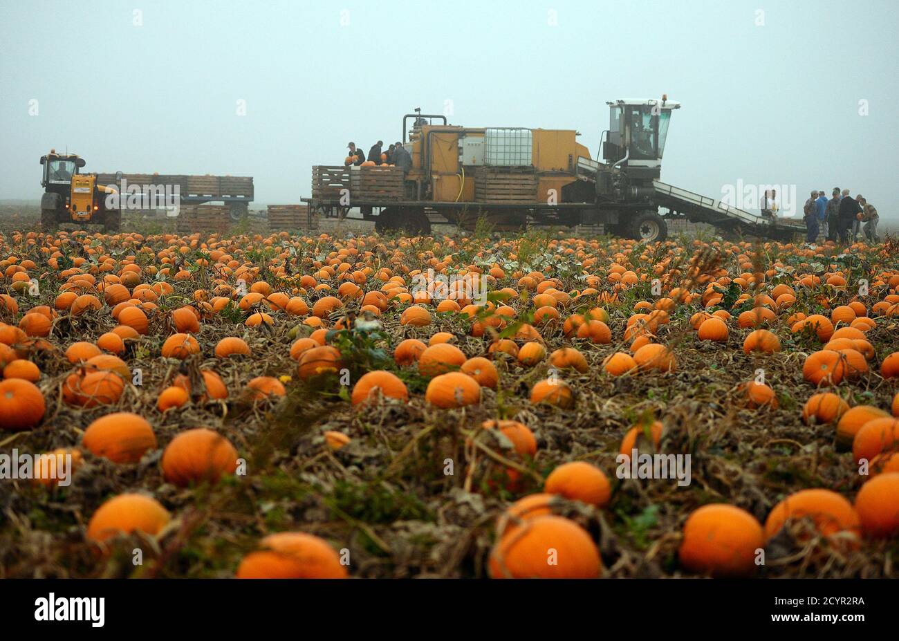 25 Acre Farm High Resolution Stock Photography and Images - Alamy